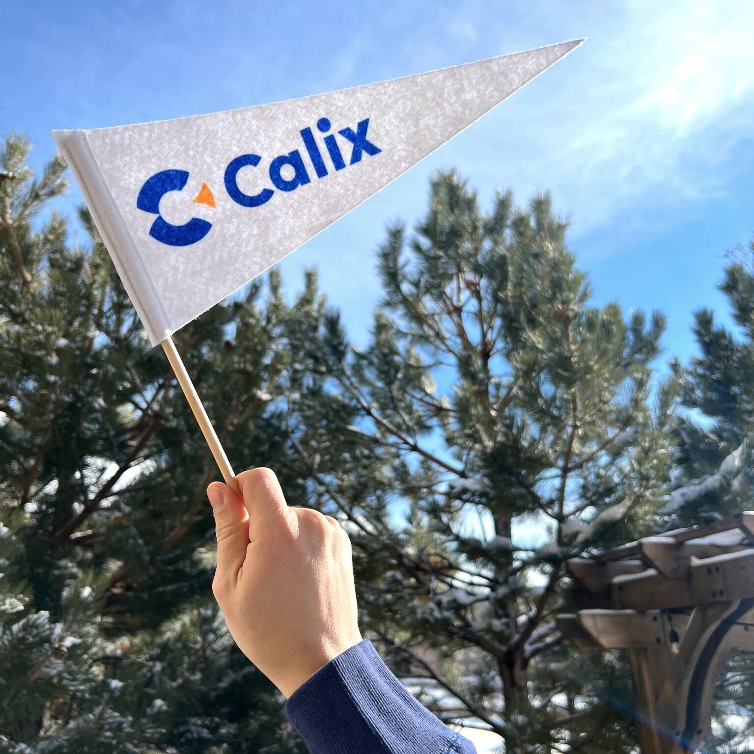 CIDC Private Limited (Calix India Development Center)